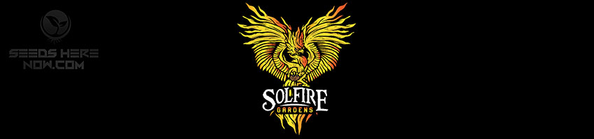 Solfire Gardens » Seeds Here Now